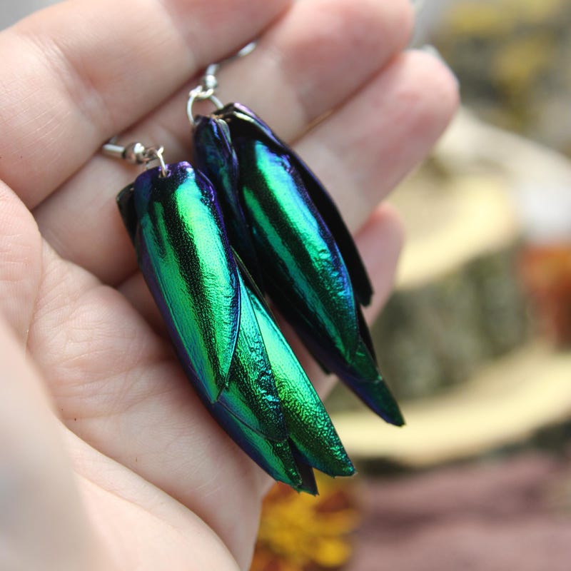 Jewel Beetle Wings - Etsy