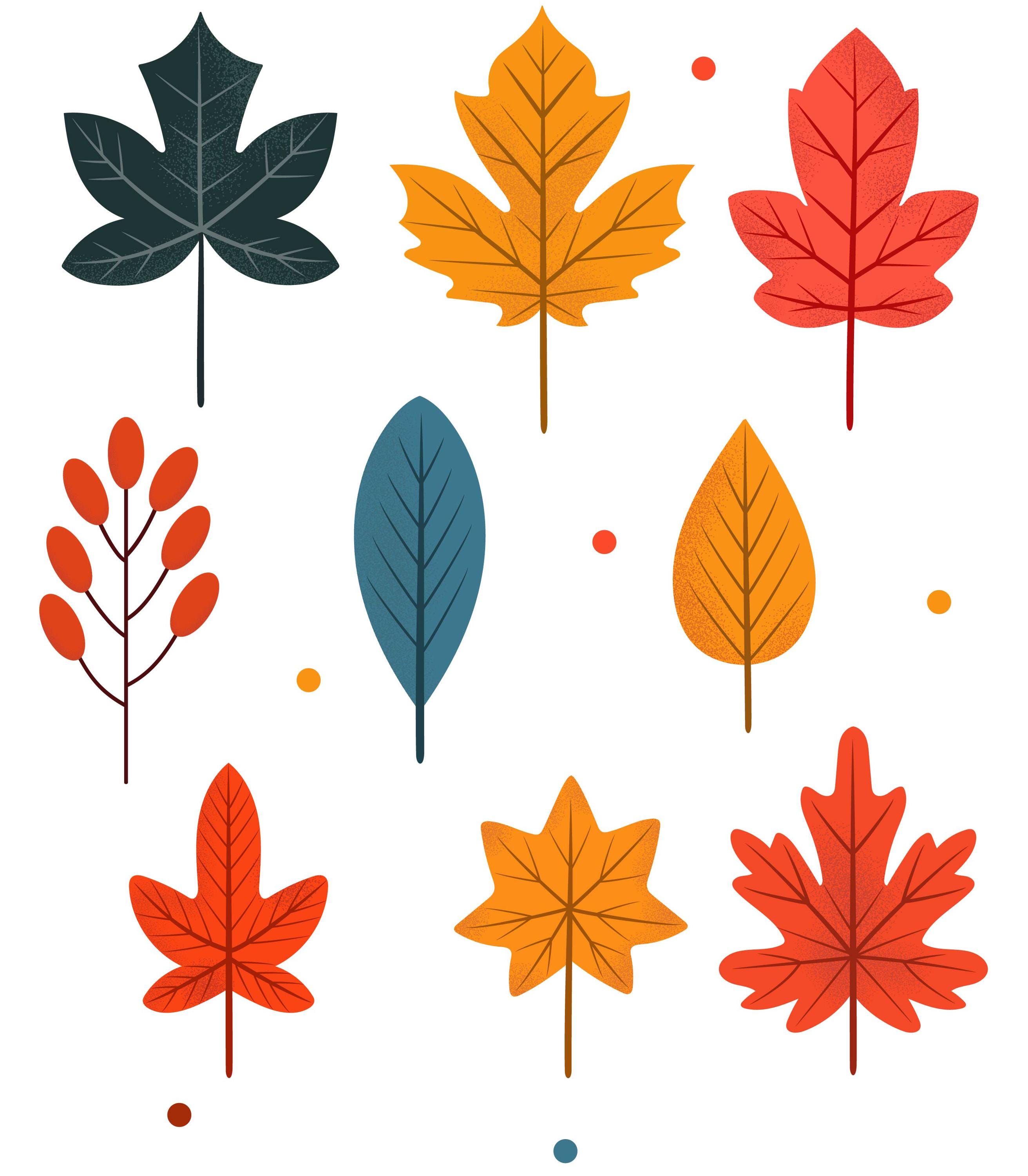 Autumn Leaves Clipart,fall Elements Clipart, Autumn Leaves, Fallen ...