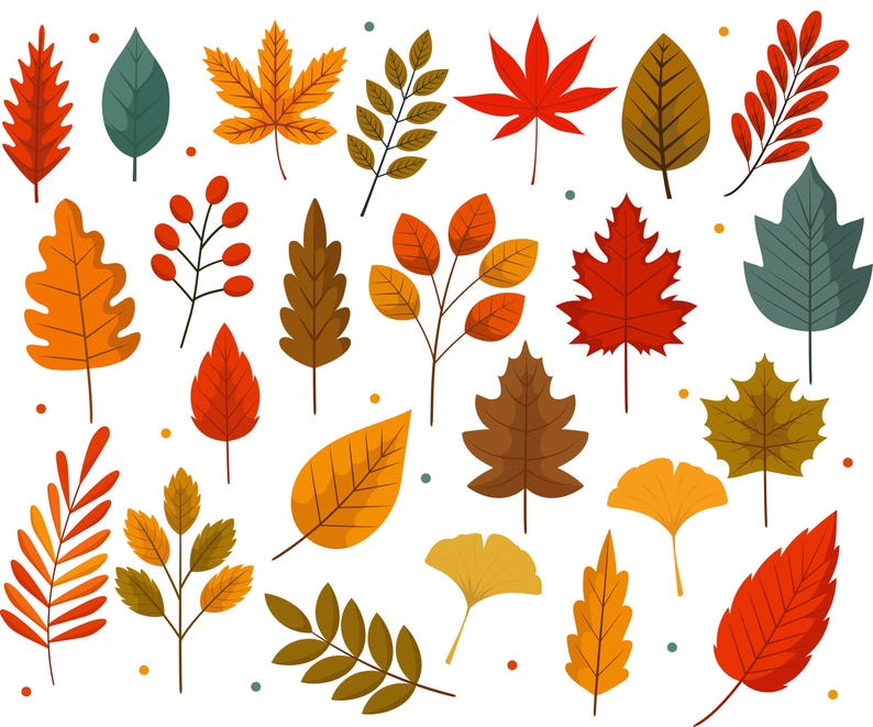 Autumn Leaves Clipart Set, Fall PNG Files (digital Download) - Etsy