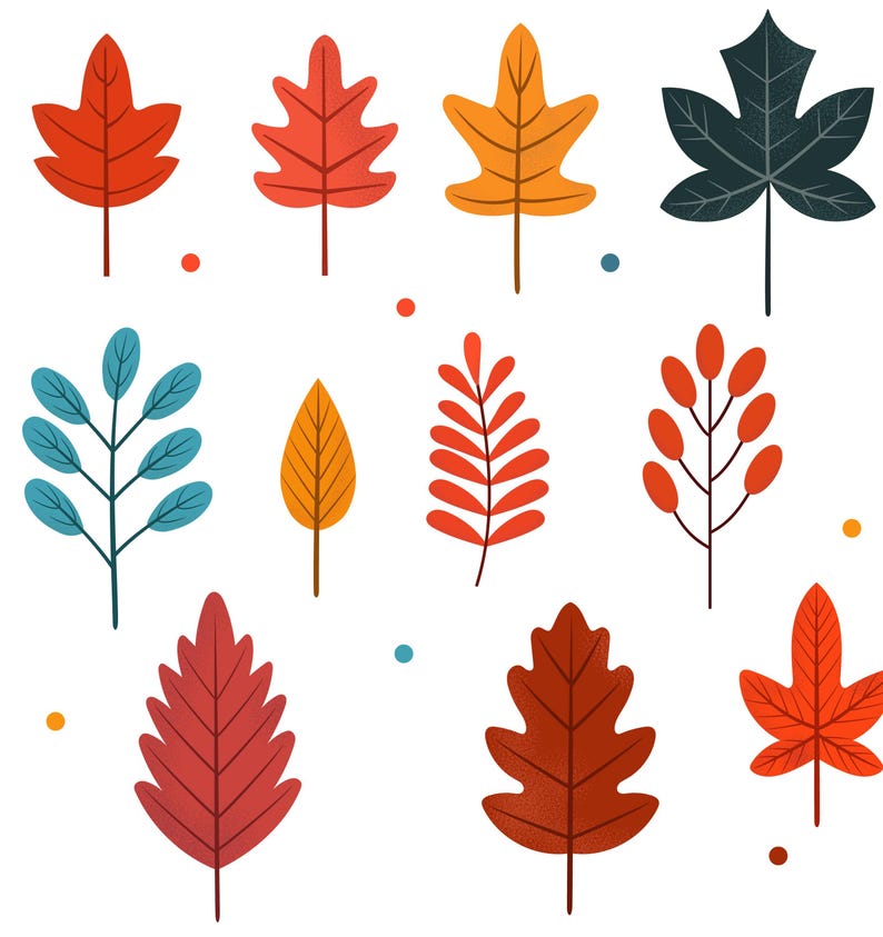 Autumn Leaves Clipart,fall Elements Clipart, Autumn Leaves, Fallen ...