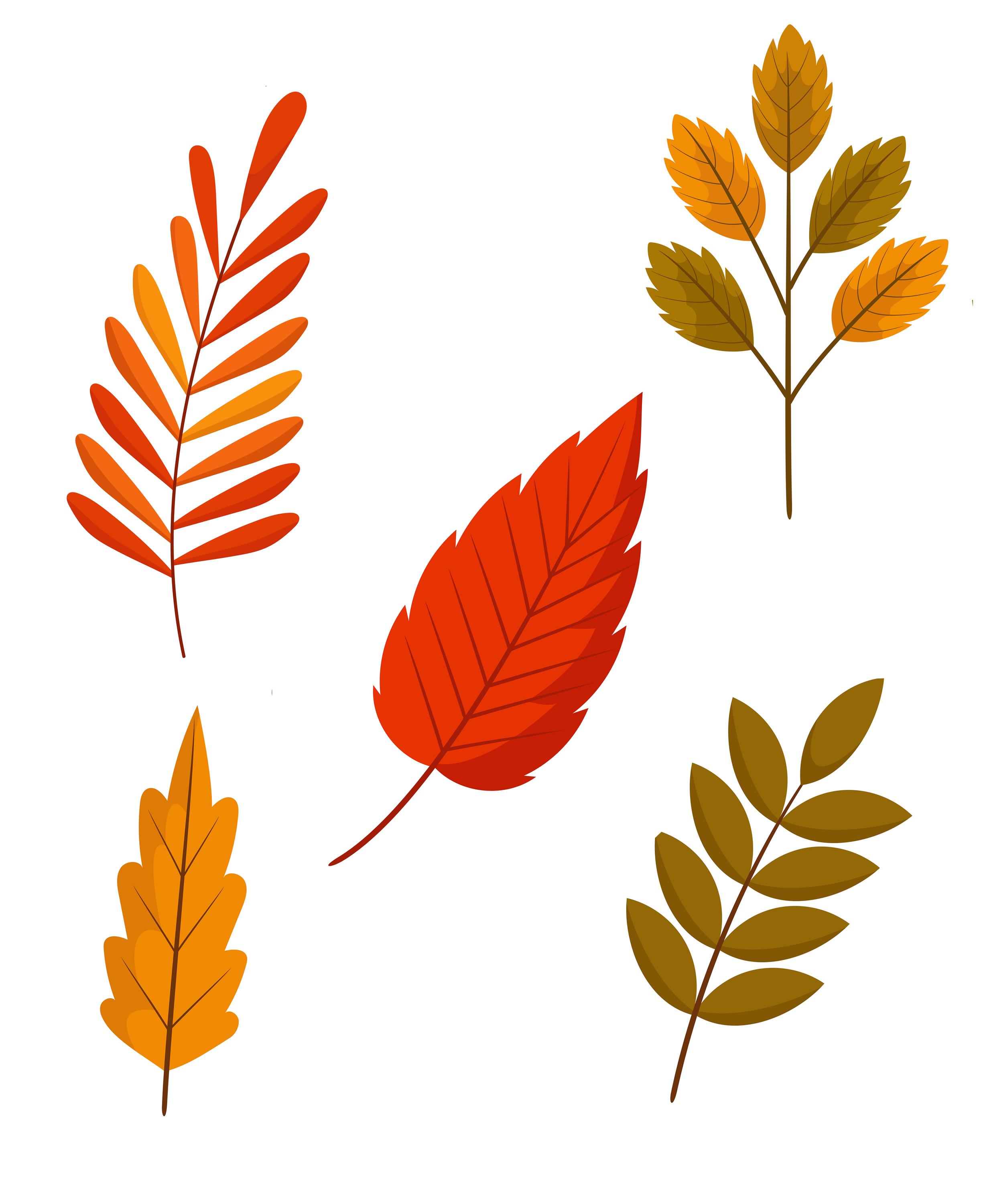 Autumn Leaves Clipart Set, Fall PNG Files (digital Download) - Etsy