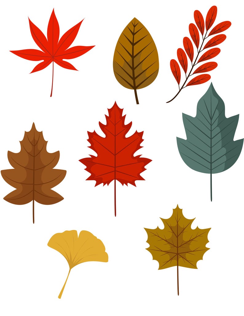 Autumn Leaves Clipart Set, Fall PNG Files (digital Download) - Etsy