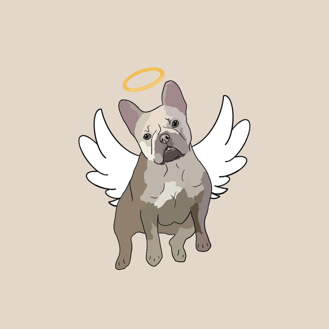 Angel Pet Portraits - Etsy