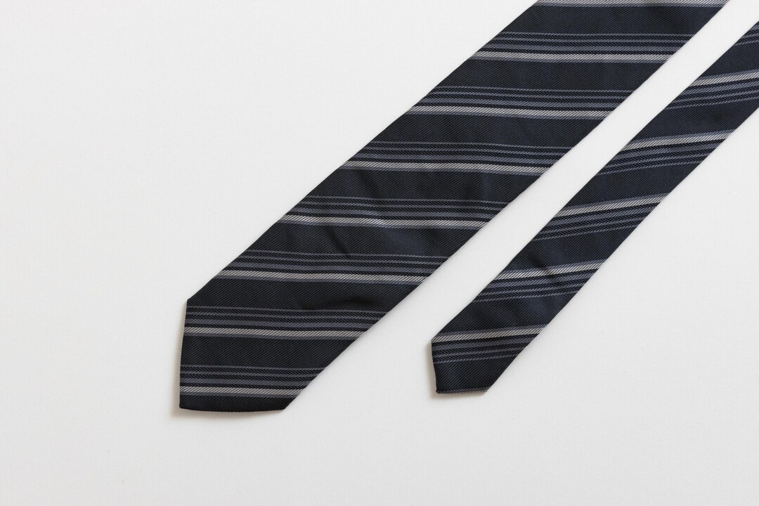 Pal Zileri Tie Striped Pattern Print Necktie Retro Beautiful Luxury ...