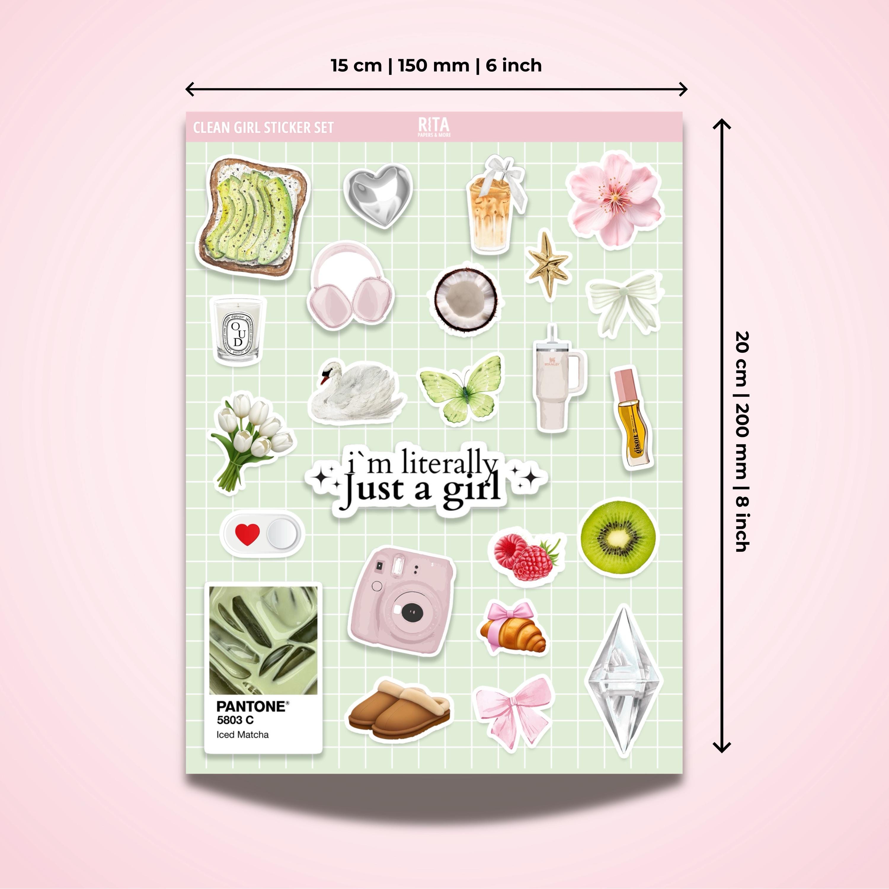 24 PCS Clean Girl Aesthetic Stickers Sheet Journal Stickers Planner ...