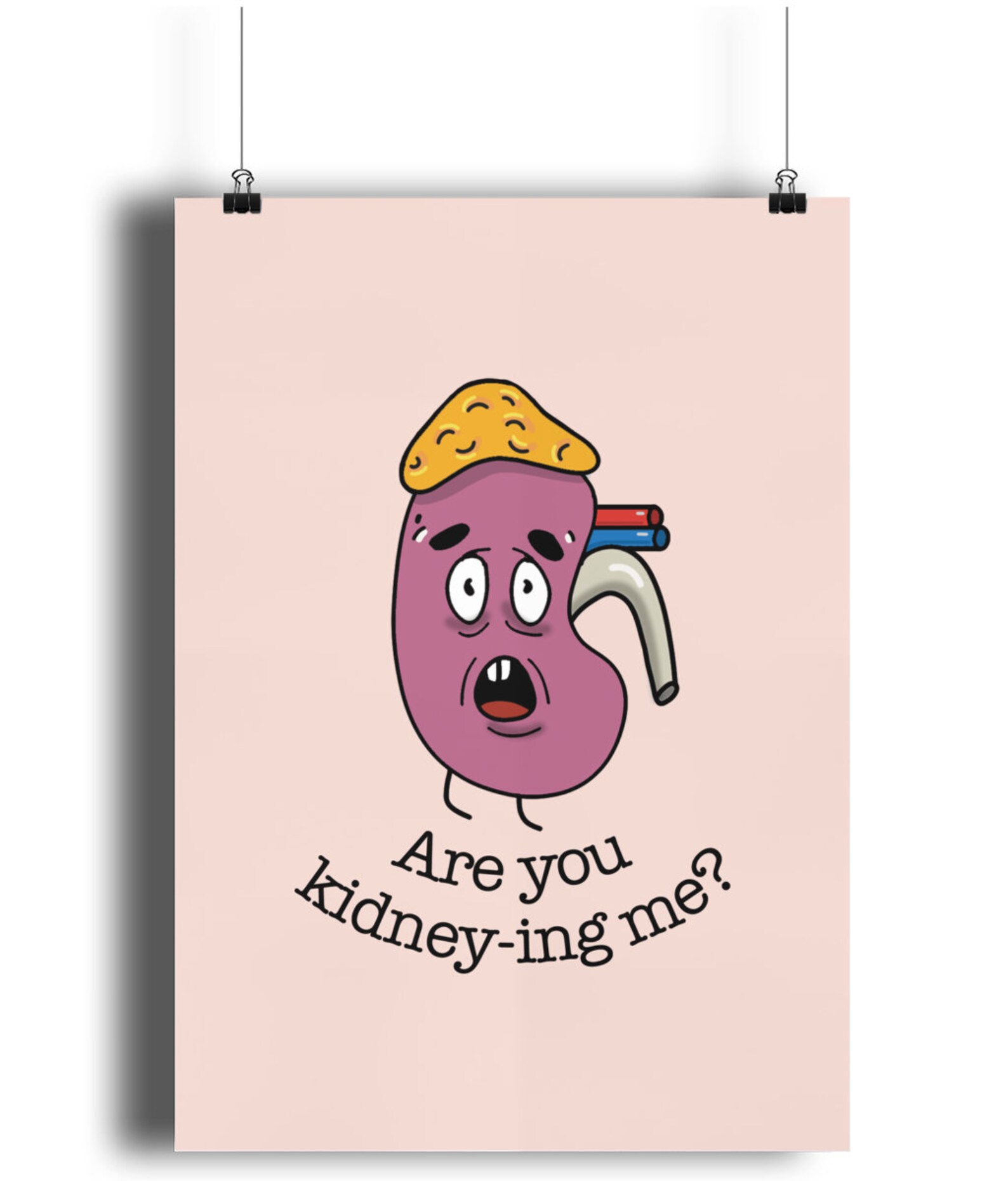 Kidney Anatomy Print Anatomy Painting Kidney Digital Print - Etsy UK