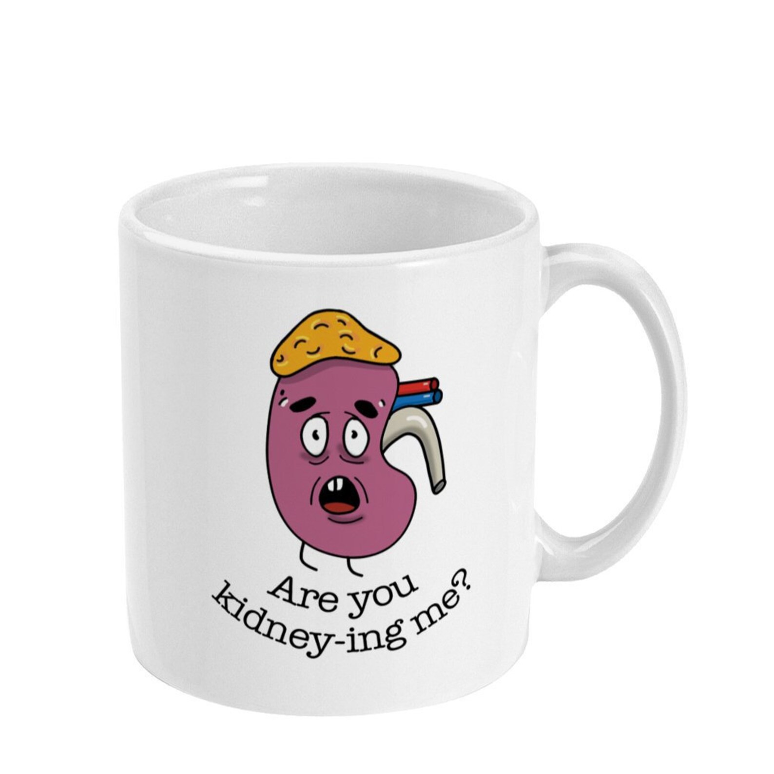 Kidney Mug | Anatomy Gift | Puns Medical Student | Biology Gift | Funny ...