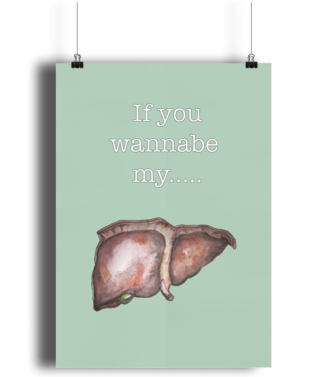 Liver Anatomy Print Watercolour Liver Painting Liver | Etsy