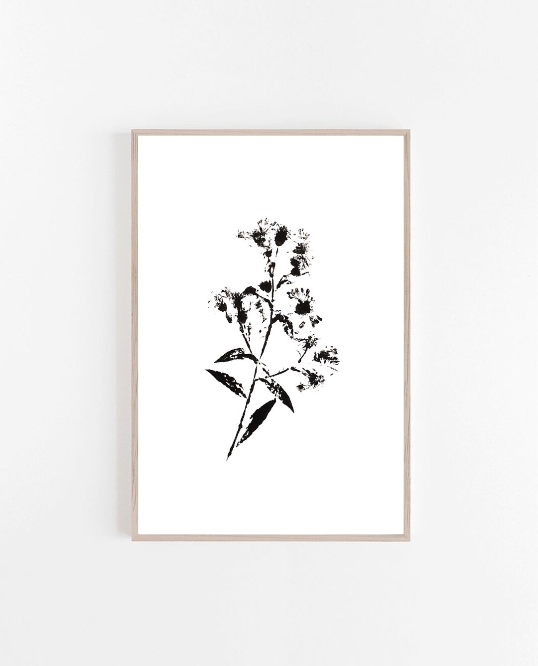 White Wildflower - October Wild Plant Collection | Botanical Print ...