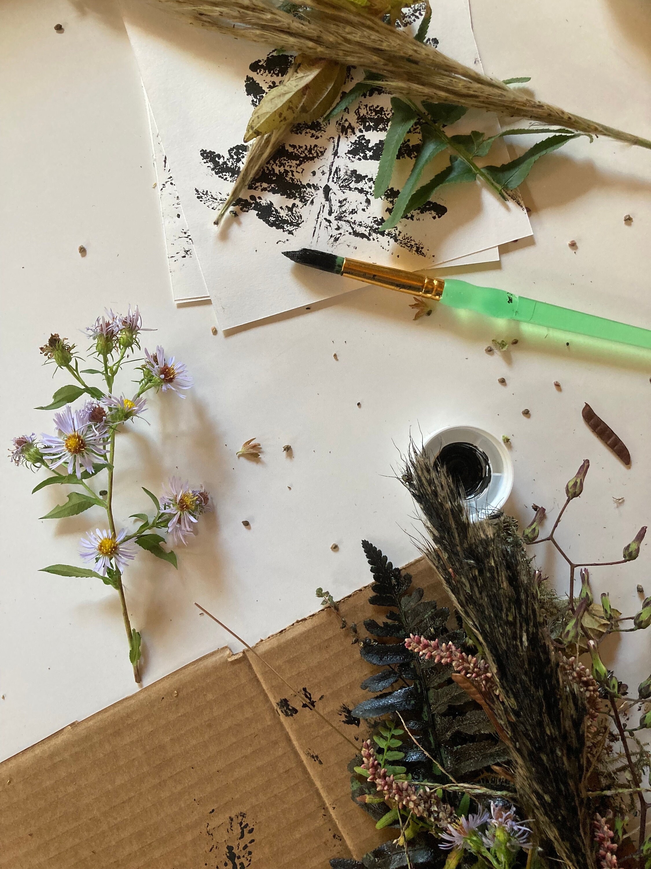 Wildflowers - October Wild Plant Collection | Botanical Print | Print ...