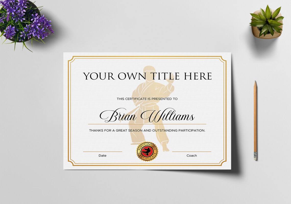 Editable Karate Award Certificates 2 Versions. Customizable - Etsy