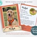Personalized Dog Trading Card Template | Editable With Corjl - Etsy