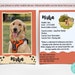 Personalized Dog Trading Card Template | Editable With Corjl - Etsy