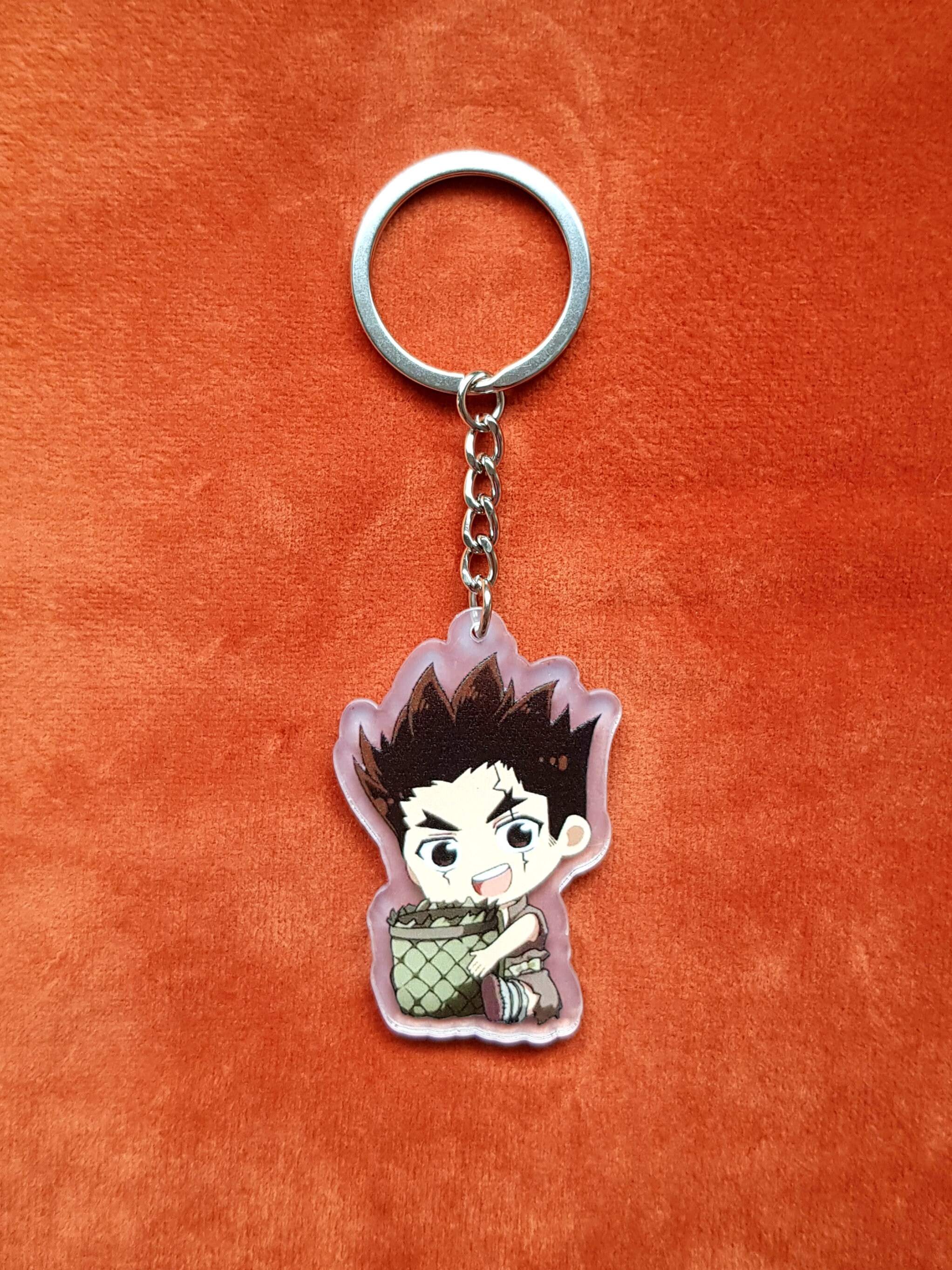 Dr Stone Anime Acrylic Keychain Dr Stone Keyrings - Etsy Australia