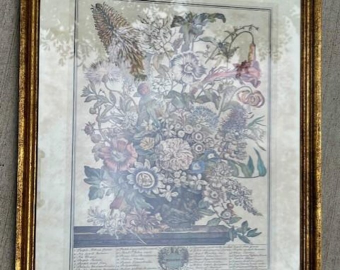 1975 Robert Furber - Framed Botanic Print of August - Etsy
