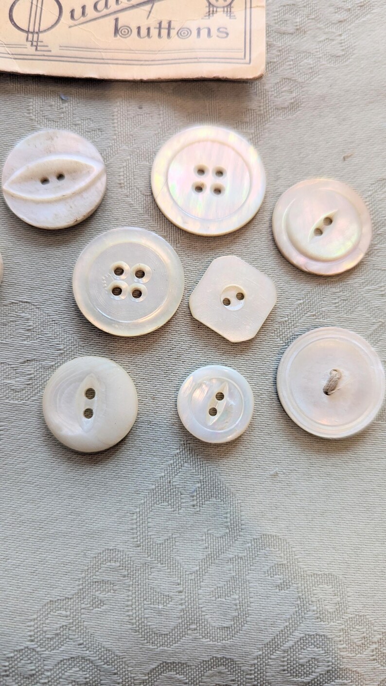 Antique Shell Buttons, 1900s Carved Shell Buttons, 20s Mother of Pearl ...