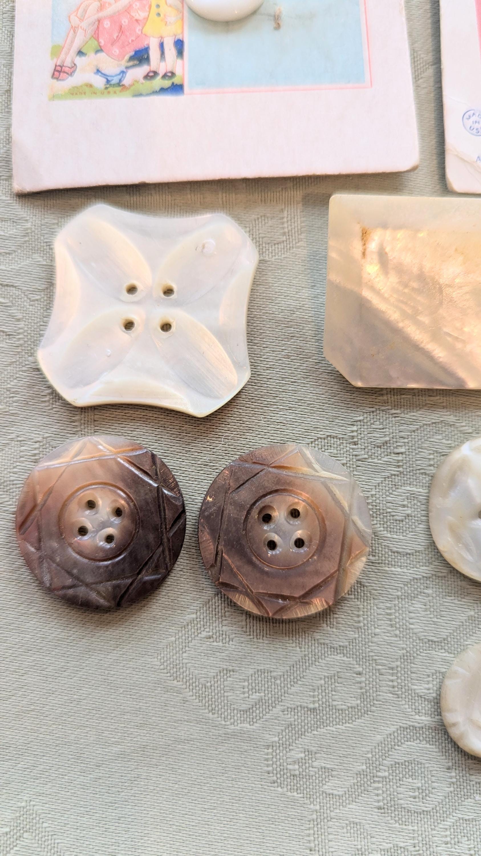 Antique Shell Buttons, 1900s Carved Shell Buttons, 20s Mother of Pearl ...