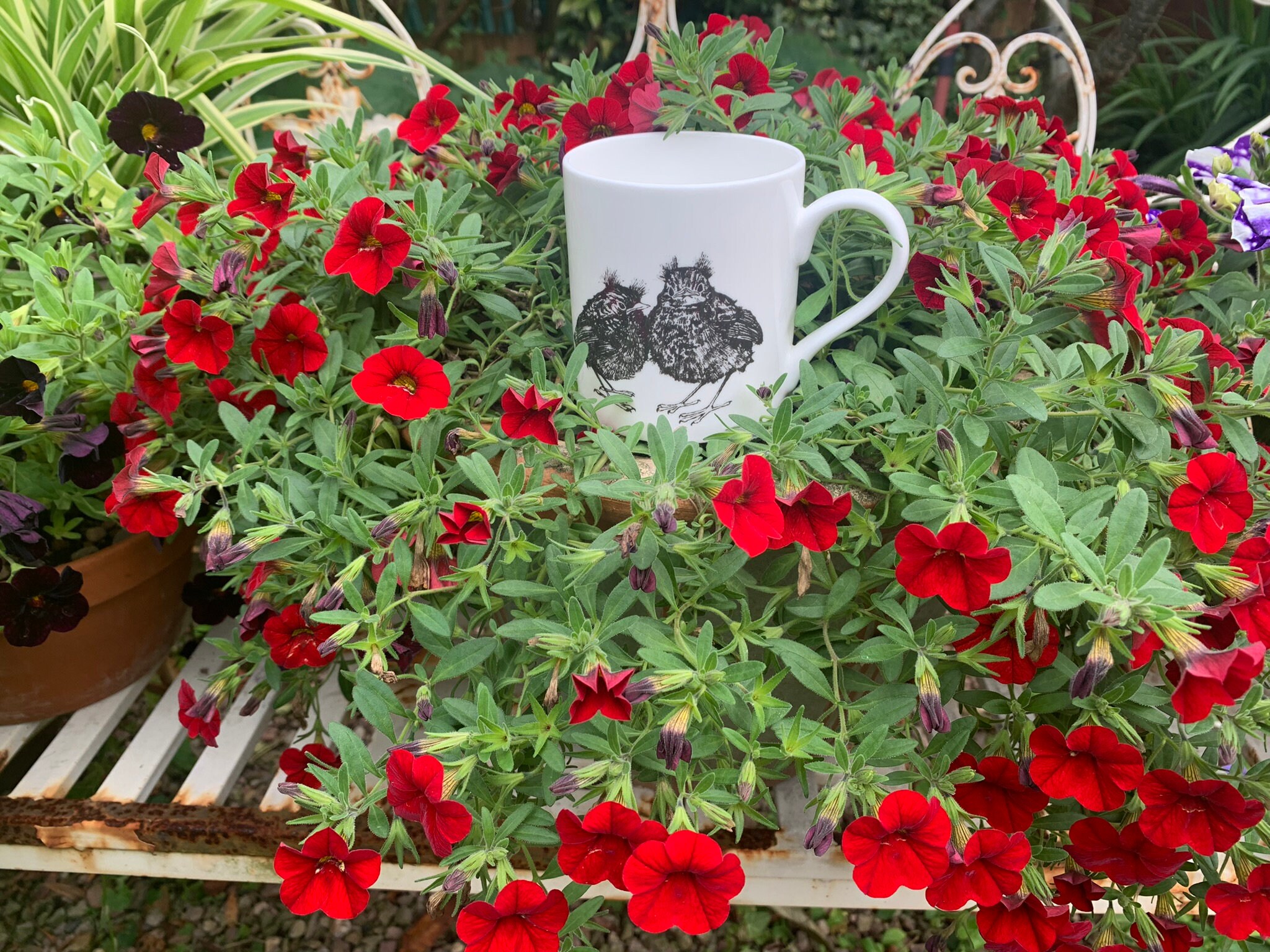 Robins Fledglings Cheeky Jack Exclusive Fine Bone China Mug - Etsy