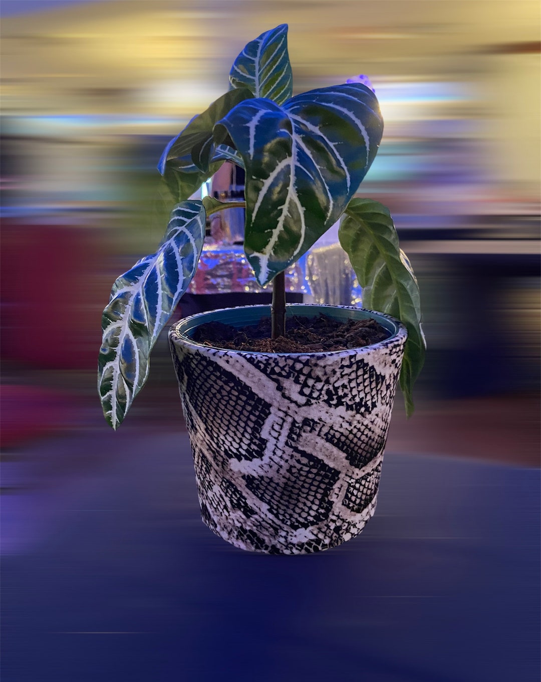 Tales of a Reptile - Etsy