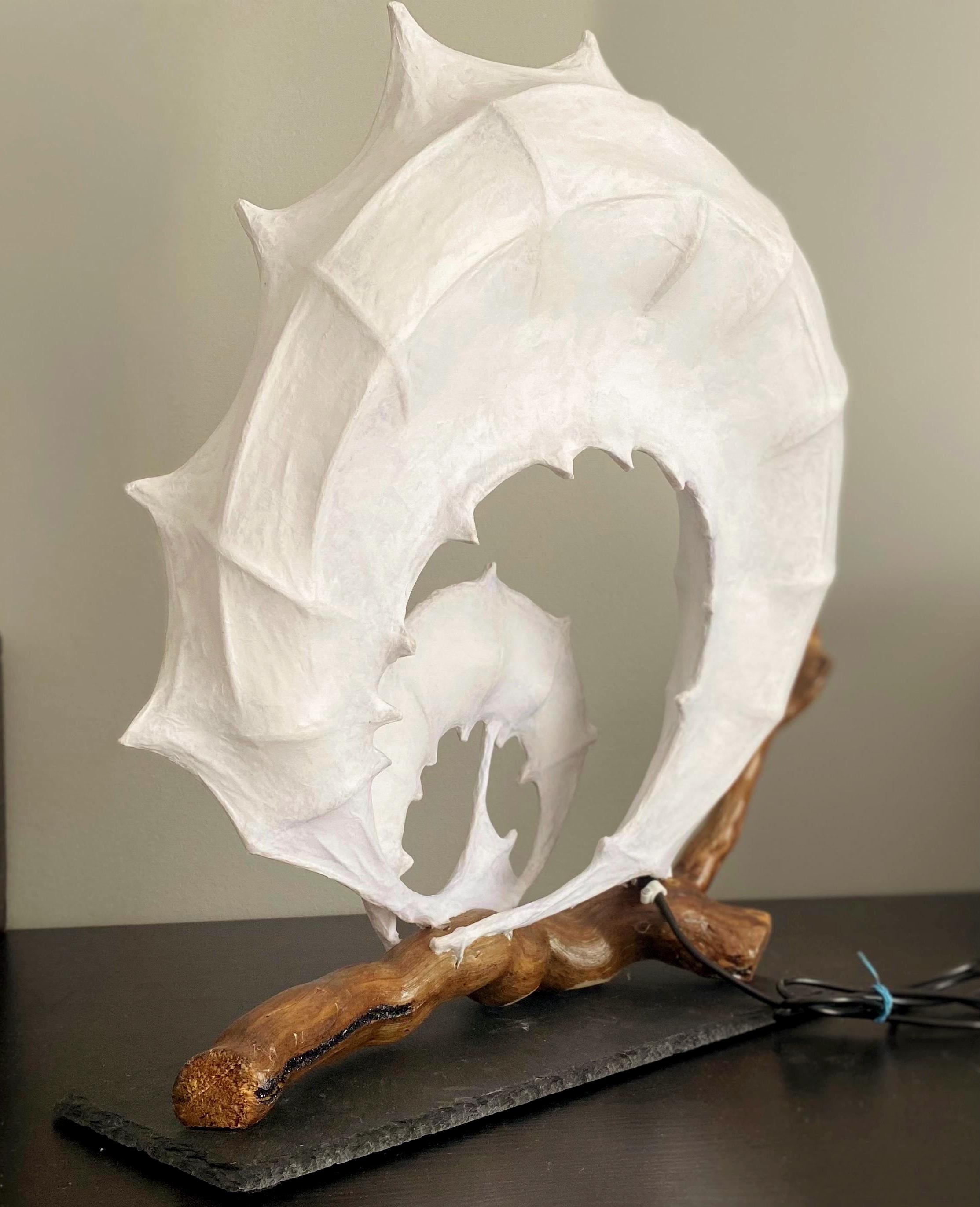Ammonite Wooden Accent Lamp—a Blend of Nature's Beauty and Artisanal ...