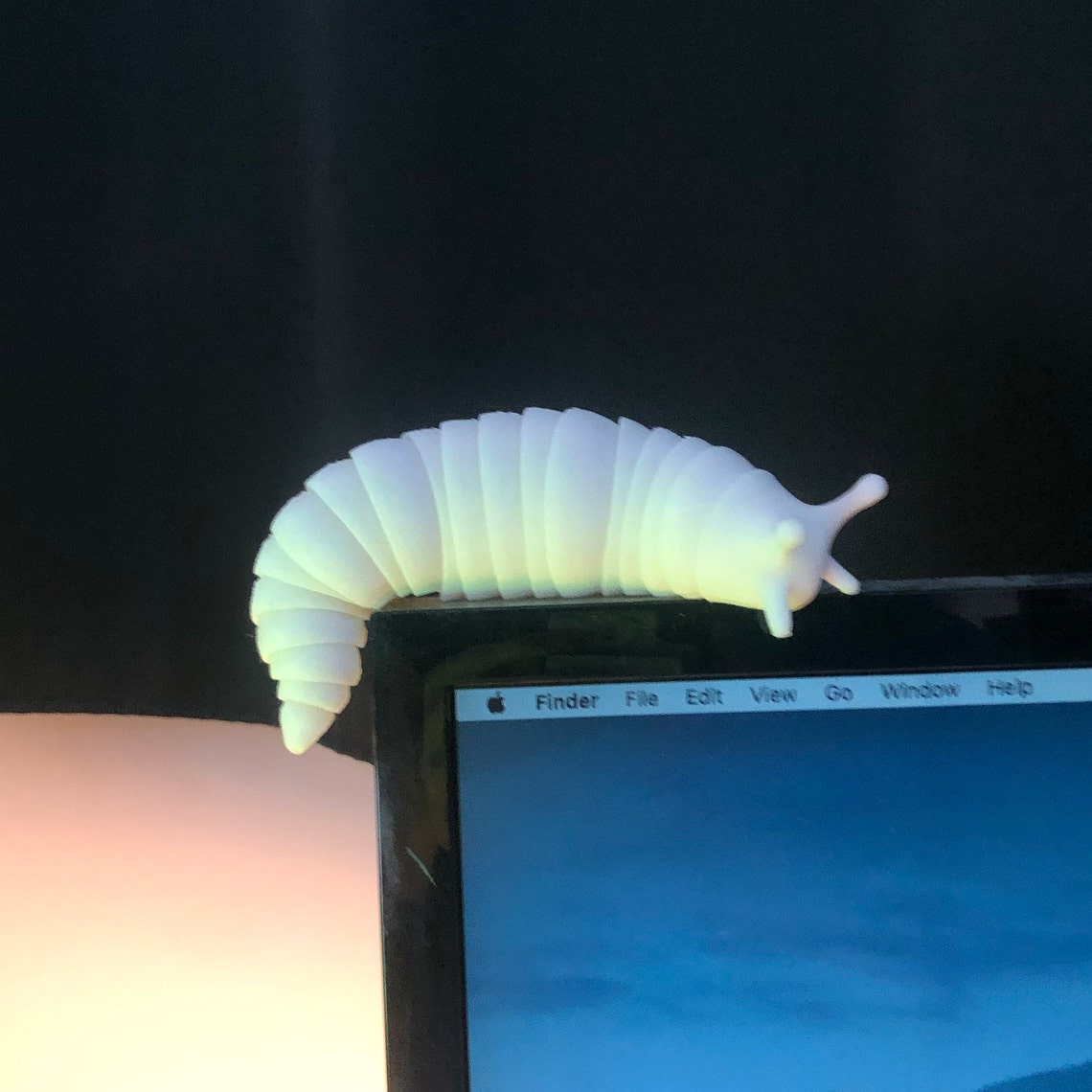 Fidget Toy Glow Worm 3D Printed Slug Fidget Desk Toy - Etsy