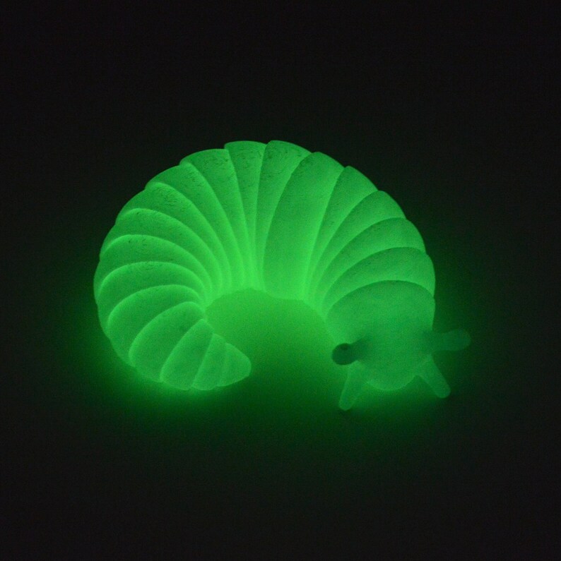 Slug Fidget Toy 3D Printed Worm Fidget Desk Toy - Etsy