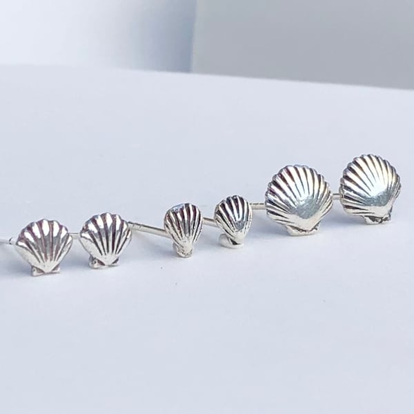 Shell Stud Earrings - Etsy