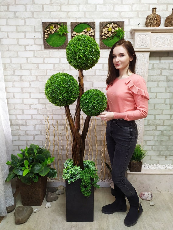 Artificial Tree boxwood Triple - Etsy