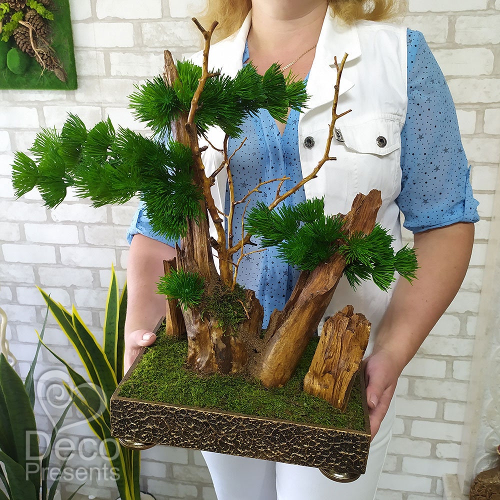 Decorative Artificial Bonsai 4. Handmade Bonsai, Home Tree, Office Tree ...