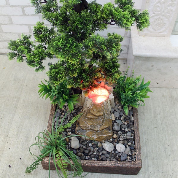 Indoor Bonsai - Etsy