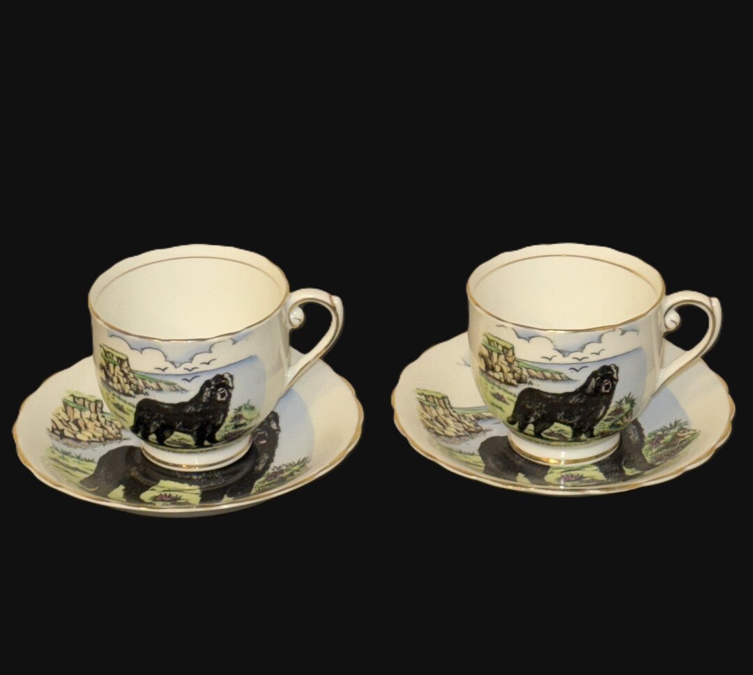 NEWFOUNDLAND DOG / Circa 1950s / TWO Teacups Saucers / Taylor & Kent ...