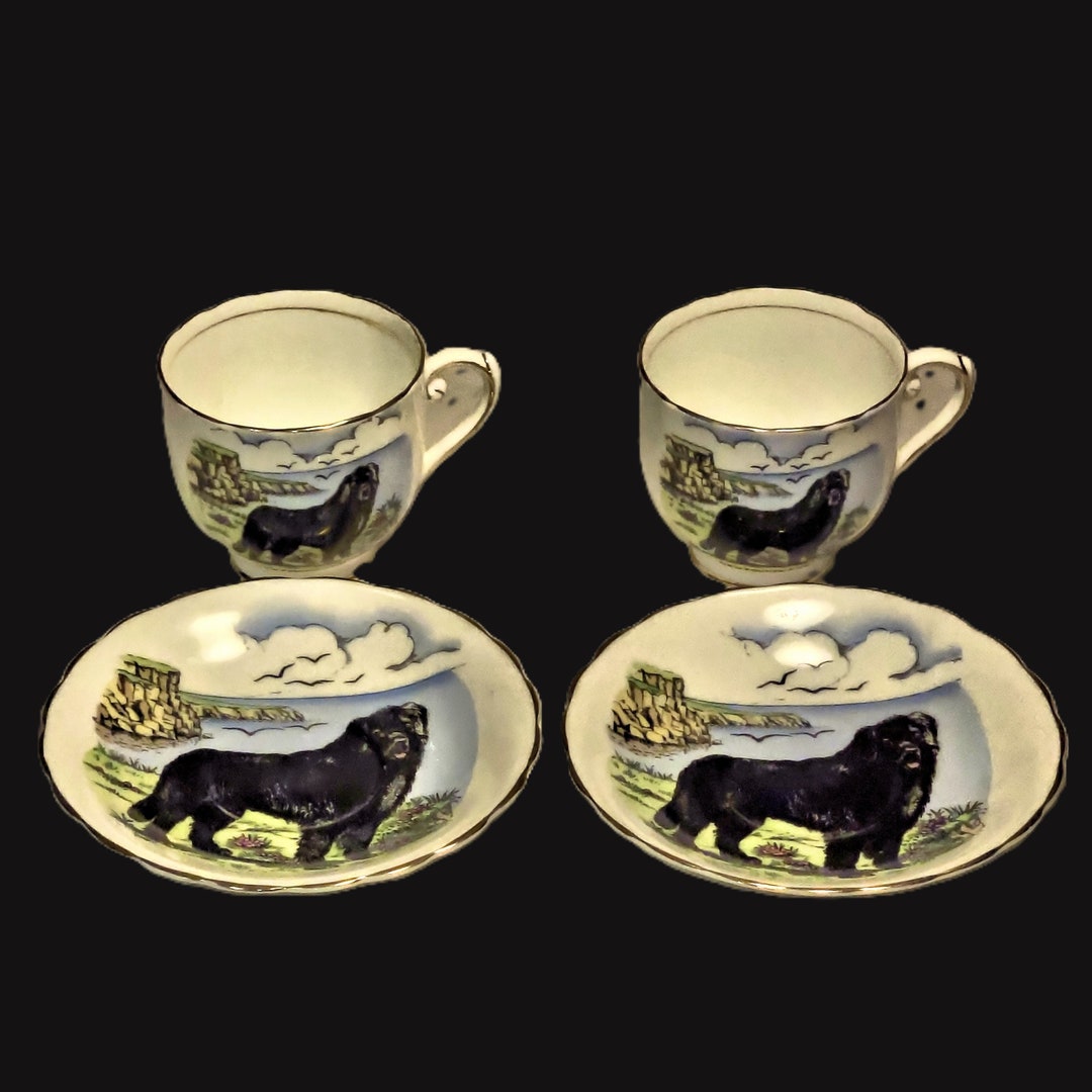 Circa 1950s / NEWFOUNDLAND Dog / TWO / Bone China Vintage Teacups ...