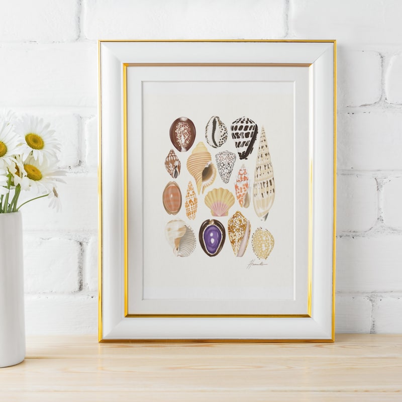 Shell Art Print - Etsy