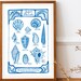 Vintage Seashell Art Print, Biology Illustration, Seashells Beach ...