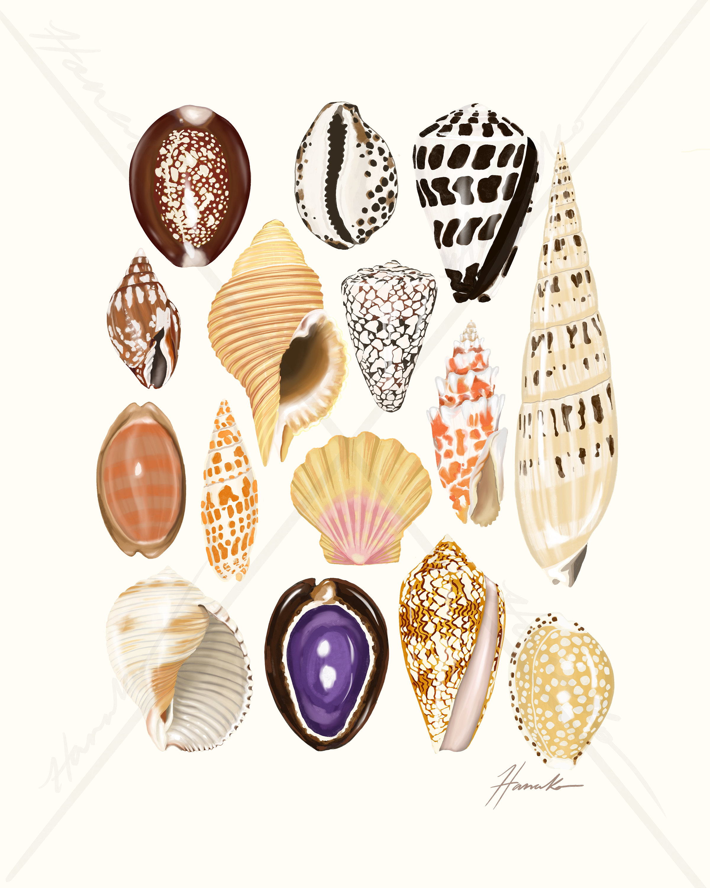 Seashell Ocean Tropical Fine Art Print Digital, Coastal Beach Decor ...