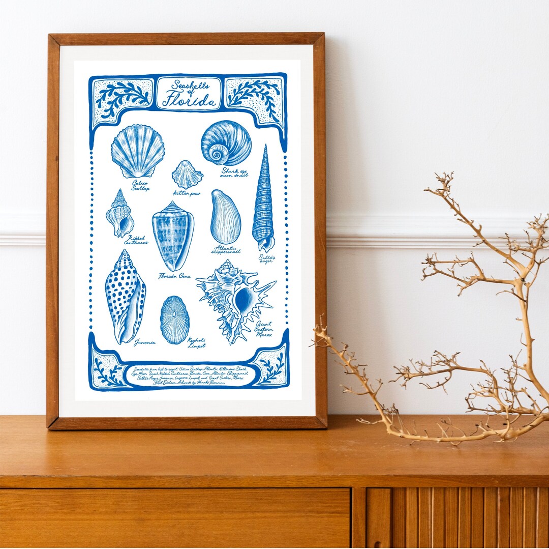 Vintage Seashell Art Print, Biology Illustration, Seashells Beach ...