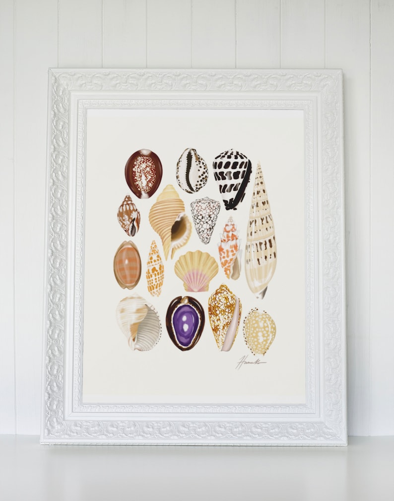 Seashell Ocean Tropical Fine Art Print Digital, Coastal Beach Decor ...