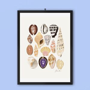 Seashell Ocean Tropical Fine Art Print Digital, Coastal Beach Decor ...