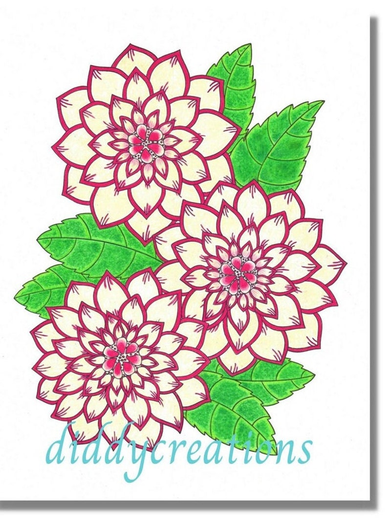Dahlias Coloring Page Flowers Printable Adult Coloring Page Digital ...