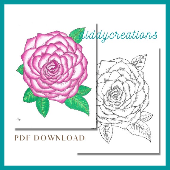Flower Coloring Page PDF Digital Download Printable - Etsy