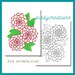 Dahlias Coloring Page Flowers Printable Adult Coloring Page Digital ...