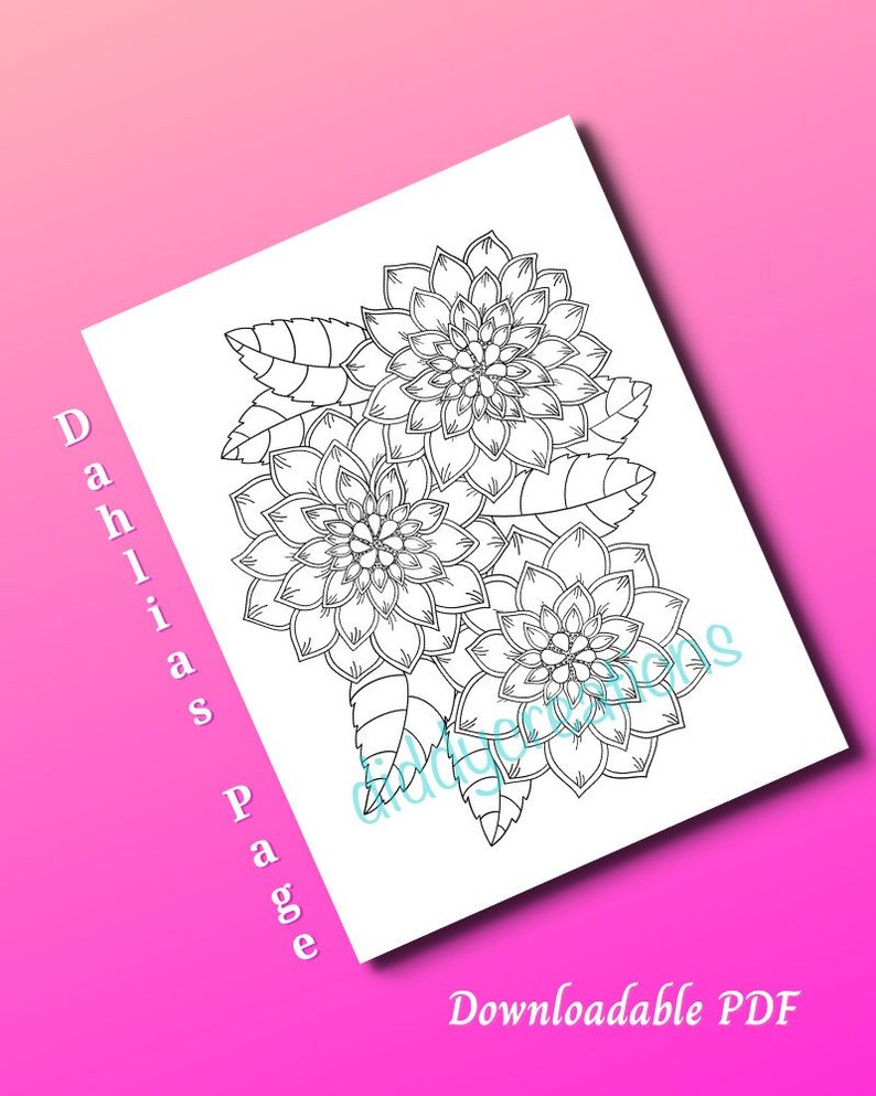 Dahlias Coloring Page Flowers Printable Adult Coloring Page Digital ...