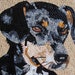 DOG MURAL DÉCOR Handmade Pet Dog Mural Marble Mosaic Wall Art Décor ...