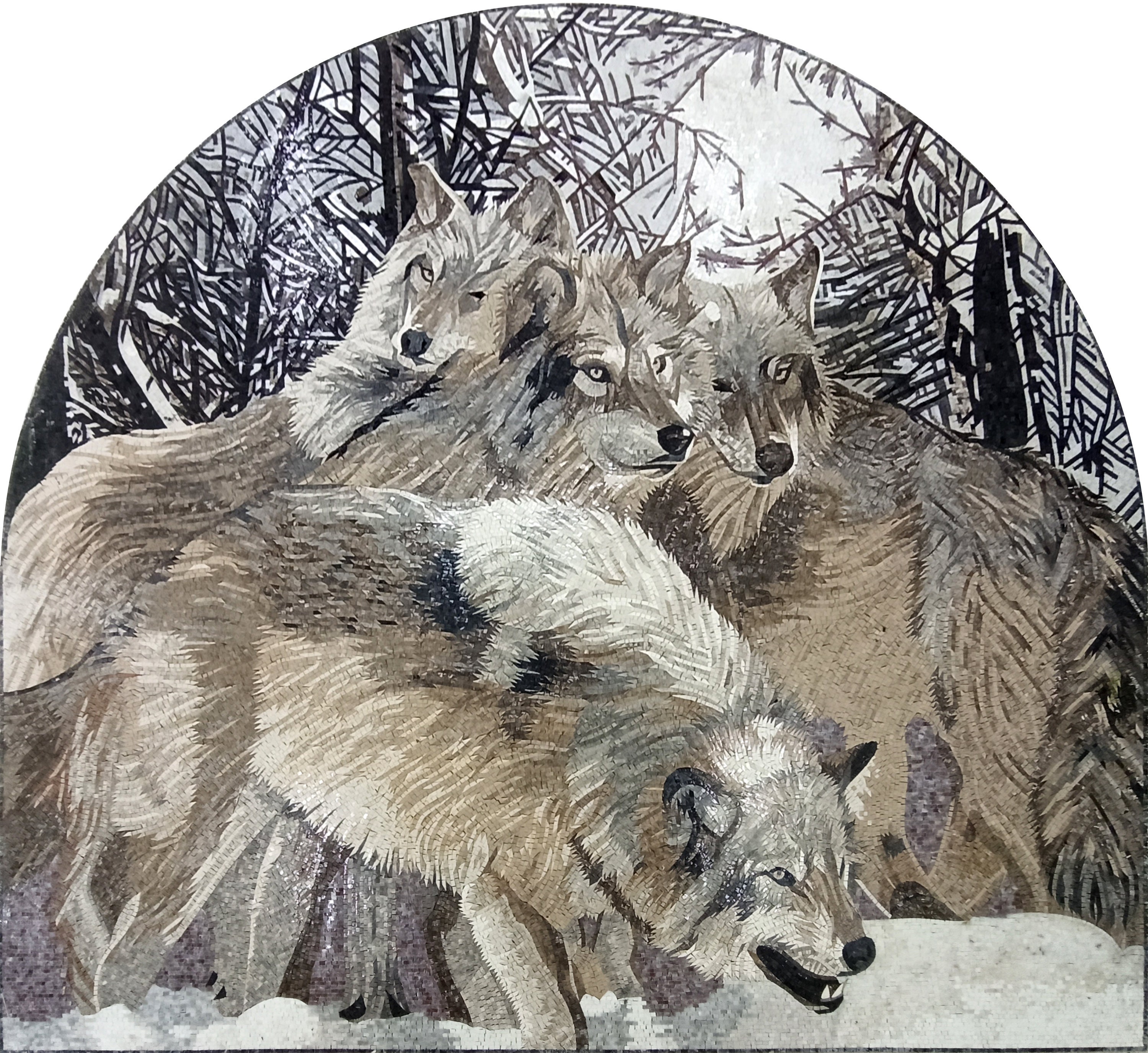 Wolf Pack Illustration