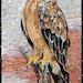FALCON WALL ART Golden Falcon Mural Mosaic Tile Wall Décor - Etsy