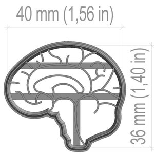 Anatomy Realistic Brain Cutter - Realistic Heart Cutter - Polymer Clay ...