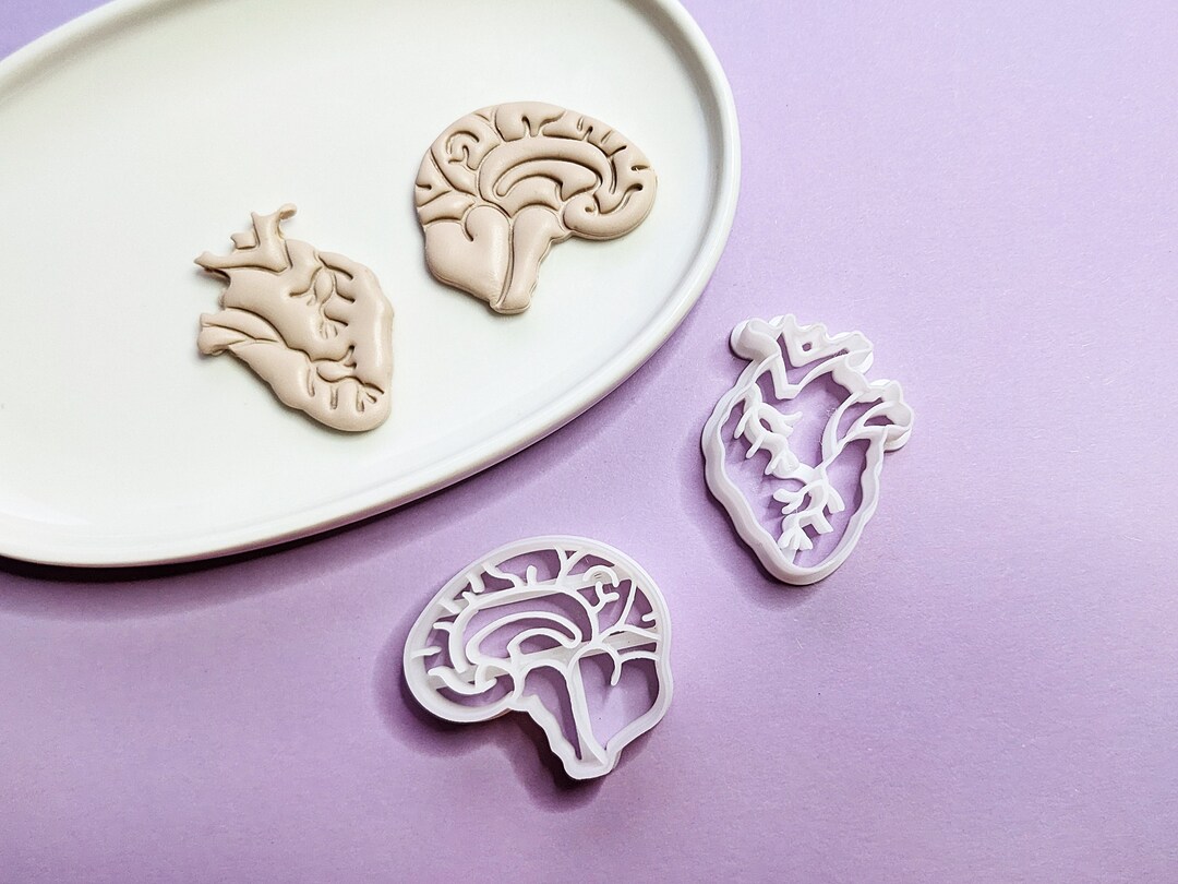 Anatomy Realistic Brain Cutter Realistic Heart Cutter Polymer Clay ...