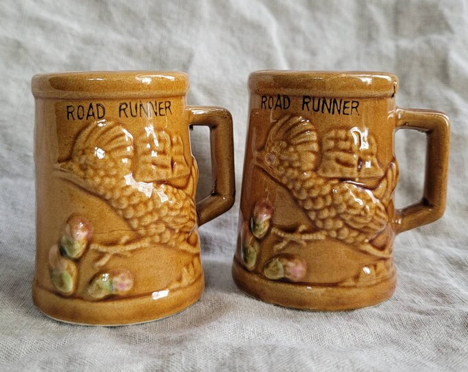 Salt & Pepper Shakers - Road Runner | Roadrunner and Cactus Design ...