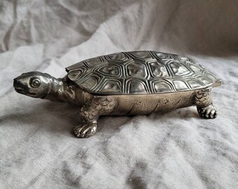 Box Turtle Shell - Etsy