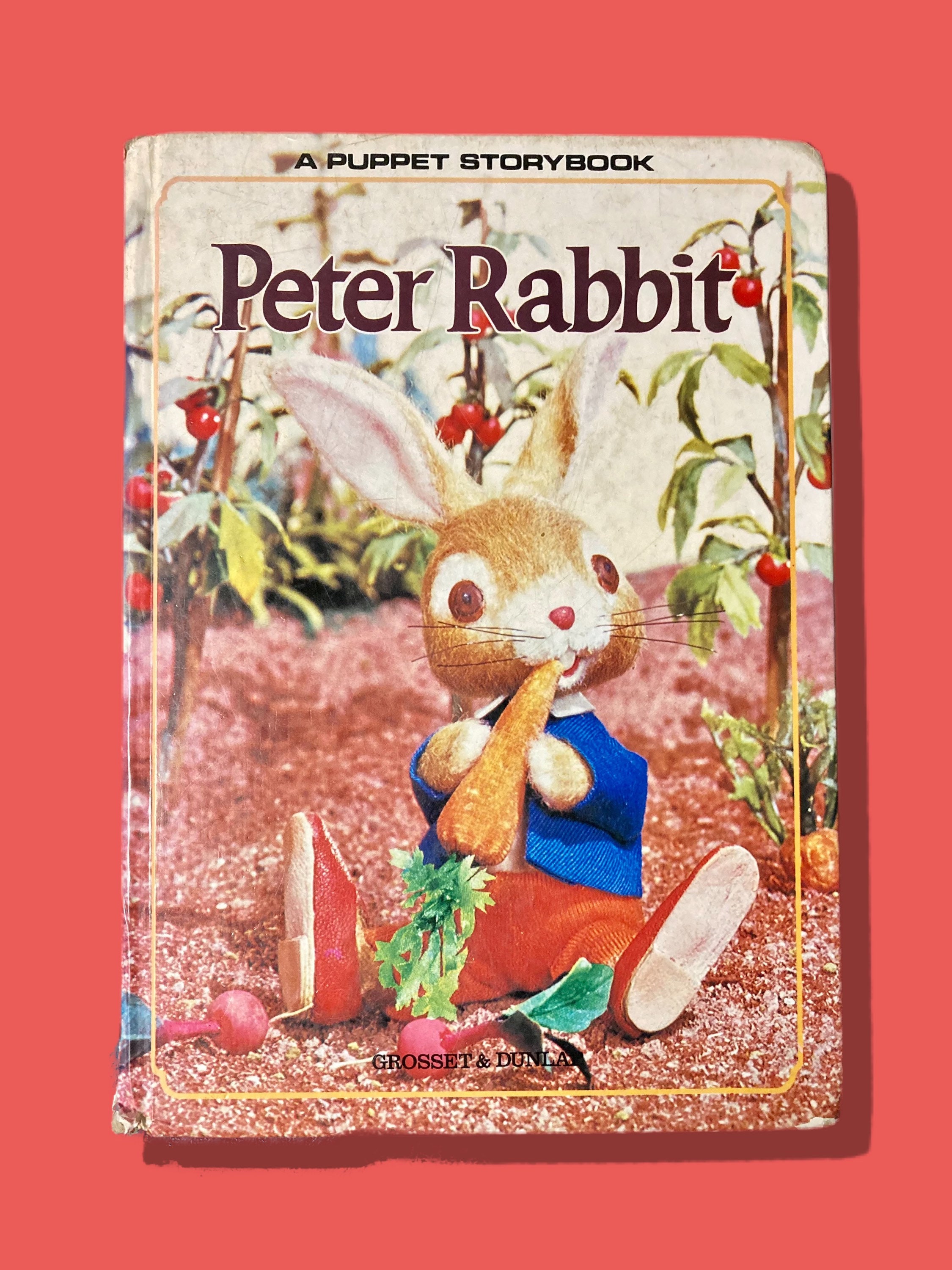 Peter Rabbit Puppet Storybook | Etsy